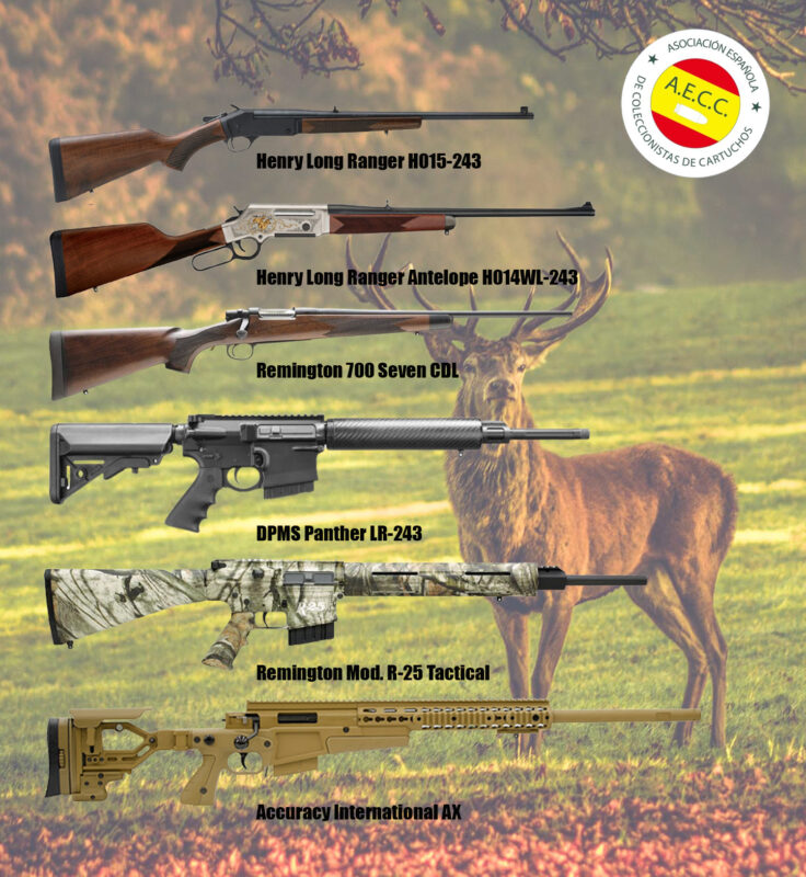 .243 Winchester – Munición.org