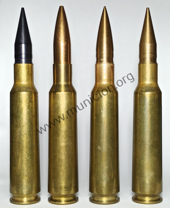 .460 Steyr – Munición.org